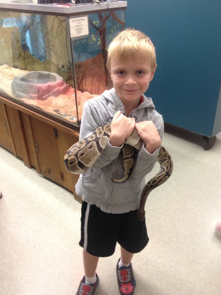 The Children's Science Learning Center at Cal State Long Beach - SoCal ...