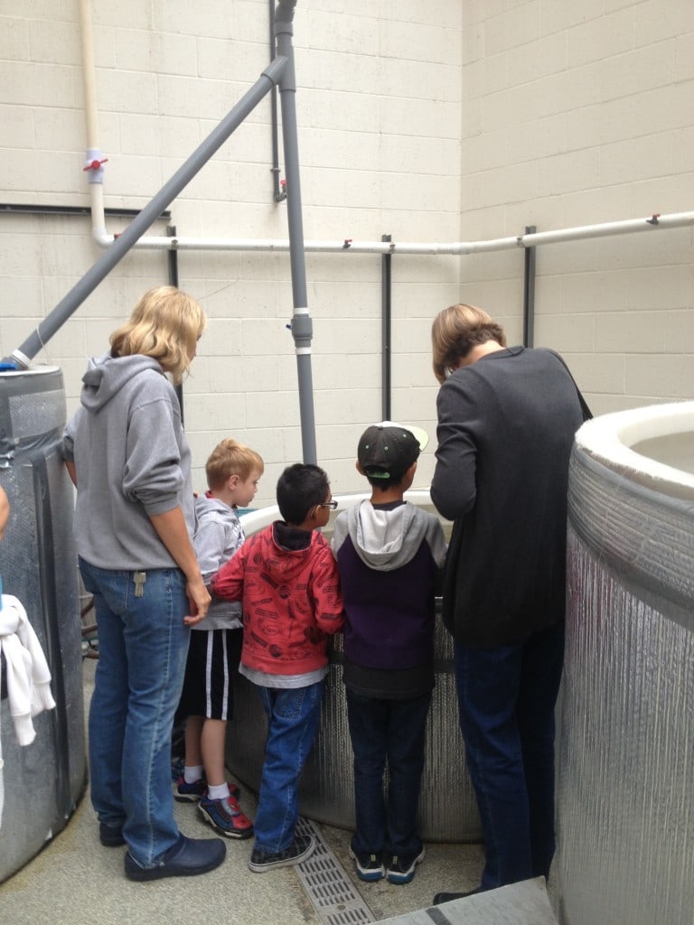 The Children's Science Learning Center at Cal State Long Beach - SoCal ...