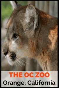 Visit The Quaint OC Zoo in Orange California - SoCal Field Trips