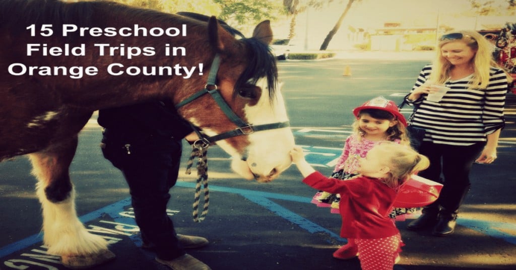 15 Preschool Field Trips in Orange County - SoCal Field Trips