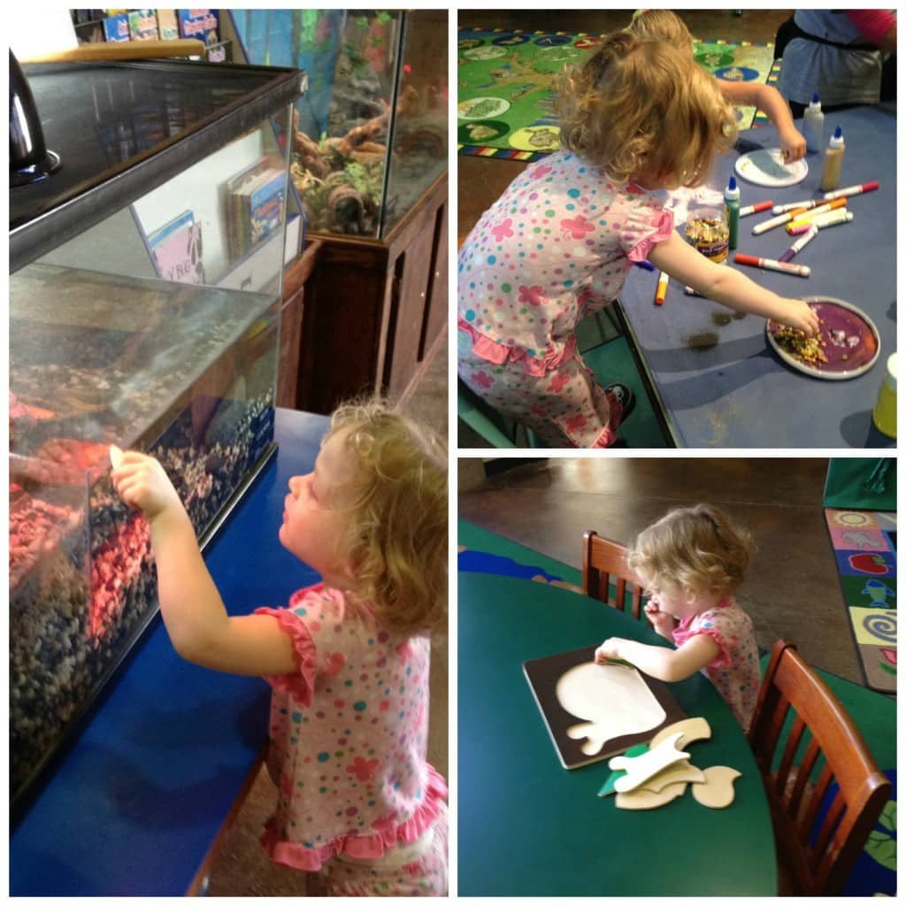 Spend the day at The Peter and Mary Muth Interpretive Center in Newport ...