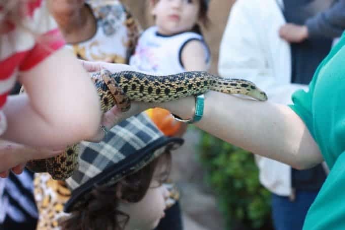 Get Wild For The Planet at The LA Zoo - SoCal Field Trips