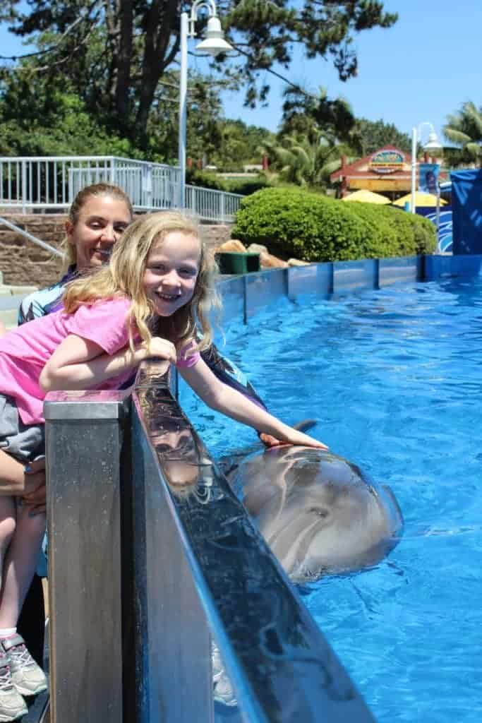 Discover The New SeaWorld San Diego Orca Experience - SoCal Field Trips