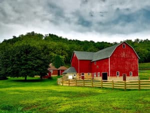 20+ Best Family Farms Near Los Angeles (Updated for 2023) - SoCal Field ...