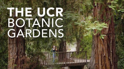Best Botanical Gardens in Riverside and San Bernardino Counties - SoCal ...