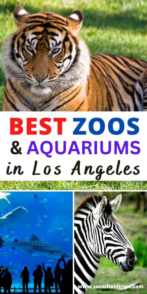 The Best Zoos, Aquariums, and Wildlife Sanctuaries Near Los Angeles ...